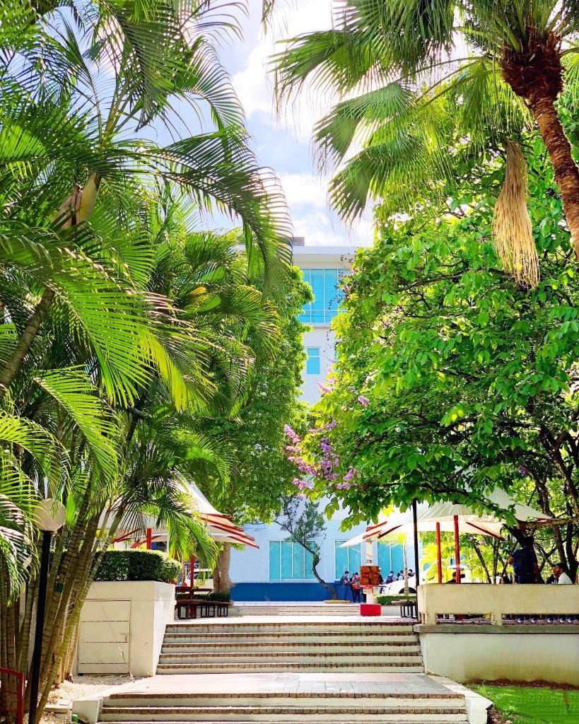 Instituto Tecnológico de Santo Domingo - INTEC impartirá docencia de manera virtual y suspende ...